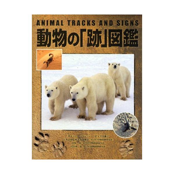 本 ISBN:9784894236127 ジニー・ジョンソン／著 宮田摂子／訳 友国雅章／日本語版監修 西海功／日本語版監修 川田伸一郎／日本語版監修 出版社:文渓堂 出版年月:2009年02月 サイズ:192P 29cm 児童 ≫ 学習図...