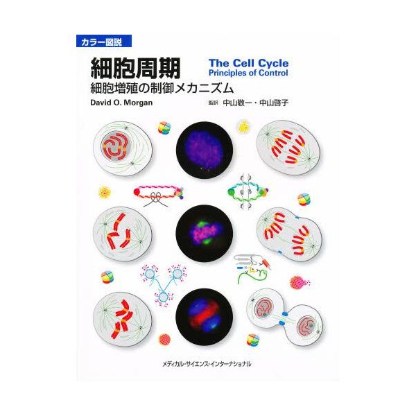 本 ISBN:9784895925587 デービッド O.モーガン／著 中山敬一／監訳 中山啓子／監訳 出版社:メディカル・サイエンス・インターナショナル 出版年月:2008年05月 サイズ:302P 28cm 医学 ≫ 基礎医学関連 [ ...