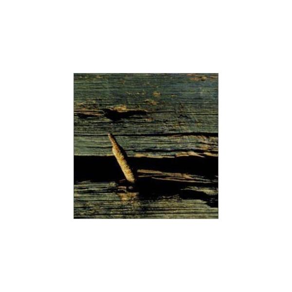 【発売日：2001年02月21日】種別:CD 洋楽ポップス 発売日:2001/02/21 販売元:ビクターエンタテインメント 登録日:2006/10/20 ホーム ホーム 13ネザーレリジヨンズ 内容:The Bogeymen／Indust...