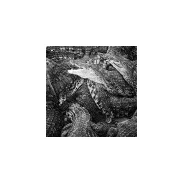 【発売日：2015年11月18日】種別:CD イージーリスニングヒーリング/ニューエイジ ※こちらの商品はインディーズ盤にて流通量が少なく、手配できない場合がございます 発売日:2015/11/18 販売元:ウルトラ・ヴァイヴ 登録日:20...