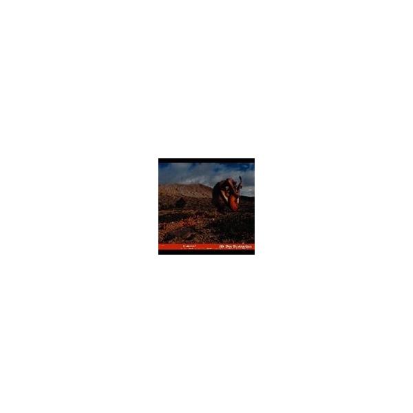 【発売日：2002年10月16日】種別:CD 邦楽ロック/ソウル ※こちらの商品はインディーズ盤にて流通量が少なく、手配できない場合がございます 発売日:2002/10/16 販売元:ジャパンミュージックシステム 登録日:2007/09/2...