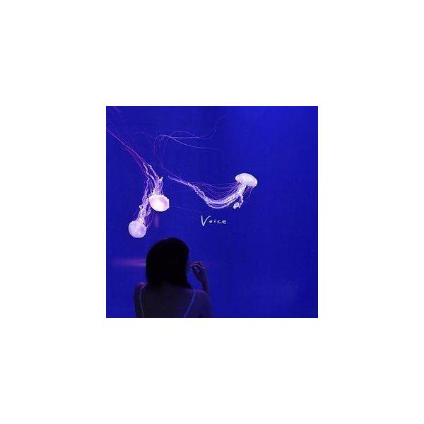 【発売日：2020年04月08日】種別:CD 邦楽ロック/ソウル ※こちらの商品はインディーズ盤にて流通量が少なく、手配できない場合がございます 発売日:2020/04/08 販売元:PCI MUSIC 登録日:2020/02/20 赤いく...