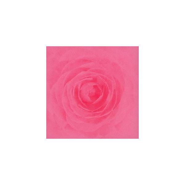 【発売日：2023年10月18日】種別:CD 邦楽J-POP 発売日:2023/10/18 販売元:ディスクユニオン 登録日:2023/09/11 RAY レイ カメリア RAY CD 内容:Overture／秘密がいたいよ／フロンティア／...