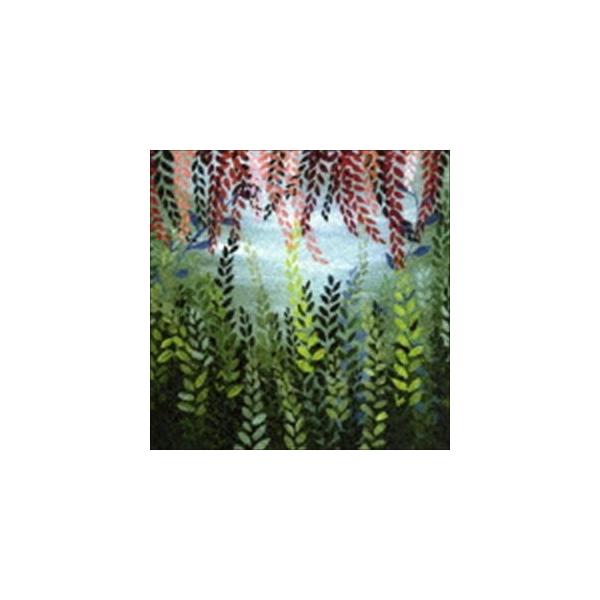 【発売日：2016年08月24日】種別:CD 洋楽ロック ※こちらの商品はインディーズ盤にて流通量が少なく、手配できない場合がございます 発売日:2016/08/24 販売元:ウルトラ・ヴァイヴ 登録日:2016/08/01 フィリオ・ダ・...