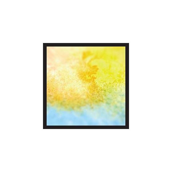 【発売日：2015年10月21日】種別:CD 洋楽ロック ※こちらの商品はインディーズ盤にて流通量が少なく、手配できない場合がございます 発売日:2015/10/21 販売元:ブリッジ 登録日:2015/10/08 バースマーク バースマー...