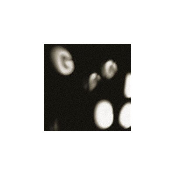 【発売日：2020年06月03日】種別:CD 洋楽ロック ※こちらの商品はインディーズ盤にて流通量が少なく、手配できない場合がございます 発売日:2020/06/03 販売元:ピーヴァイン 登録日:2020/03/31 ノー・エイジ ノーエ...