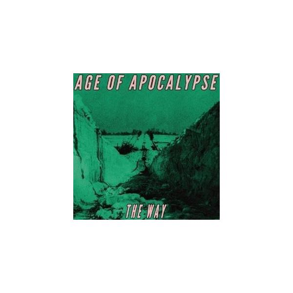 【発売日：2022年06月17日】種別:CD 洋楽ロック ※こちらの商品はインディーズ盤にて流通量が少なく、手配できない場合がございます 発売日:2022/06/17 販売元:ディスクユニオン 登録日:2022/06/07 AGE OF A...