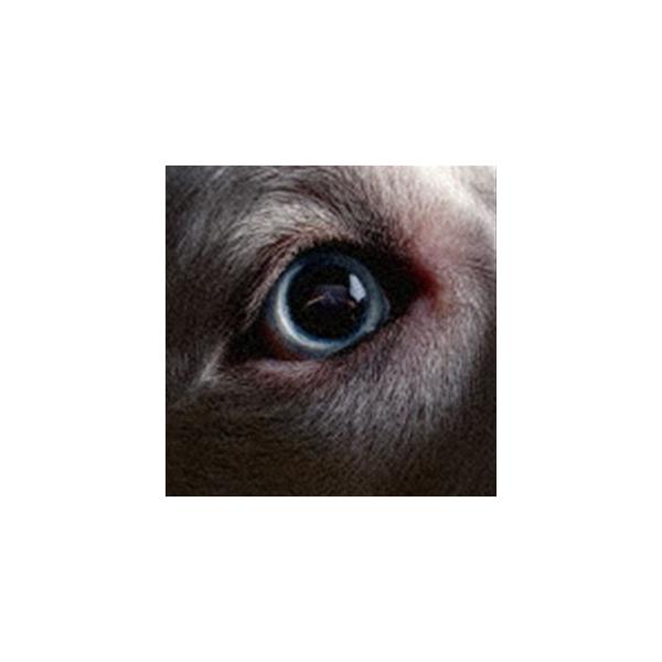 【発売日：2023年10月06日】種別:CD 洋楽ロック ※こちらの商品はインディーズ盤にて流通量が少なく、手配できない場合がございます 発売日:2023/10/06 販売元:ウルトラ・ヴァイヴ 登録日:2023/08/31 ロジャー・ウォ...