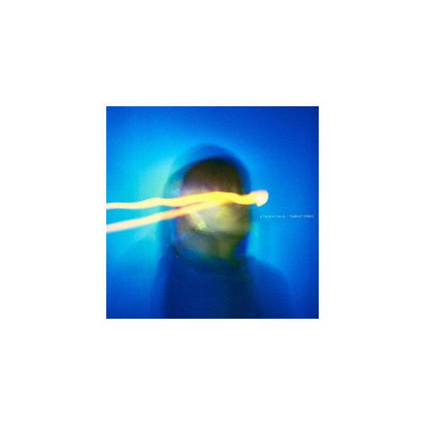 【発売日：2024年03月13日】種別:CD 邦楽ロック/ソウル 発売日:2024/03/13 販売元:テイチクエンタテインメント 登録日:2024/01/09 a flood of circle フラッドオブサークル キャンドル ソングス...