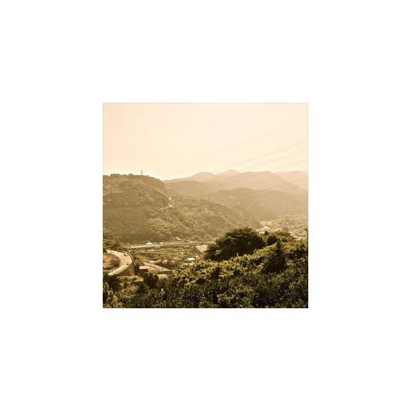 【発売日：2016年04月13日】種別:CD イージーリスニングヒーリング/ニューエイジ ※こちらの商品はインディーズ盤にて流通量が少なく、手配できない場合がございます 発売日:2016/04/13 販売元:アート・ユニオン 登録日:201...