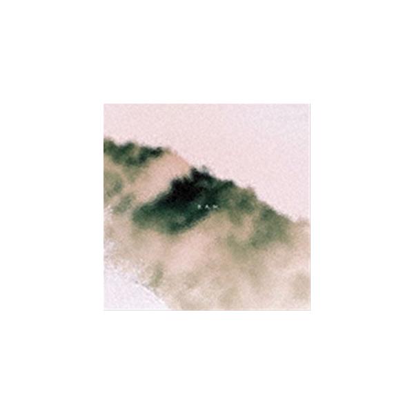 【発売日：2021年10月27日】種別:CD 邦楽クラブ/テクノ 発売日:2021/10/27 販売元:スペースシャワーネットワーク 登録日:2021/08/16 D.A.N. ダン ノー ムーン D.A.N. CD 内容:Anthem／F...