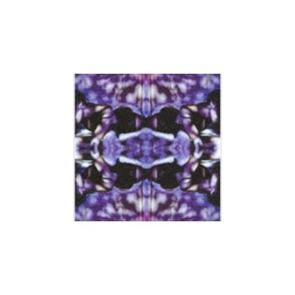 【発売日：2019年06月12日】種別:CD 邦楽ロック/ソウル ※こちらの商品はインディーズ盤にて流通量が少なく、手配できない場合がございます 発売日:2019/06/12 販売元:ウルトラ・ヴァイヴ 登録日:2019/04/26 Yao...