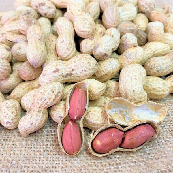 爆買ウルトラSALEあっさりとした甘みが特徴の殻つき落花生です。ギフト プレゼント ご褒美 贈り物 贈答品 送料無料 ご自宅用 中元 歳暮 御祝 お祝いお正月、バレンタインデー、ホワイトデー、母の日、父の日、敬老の日、クリスマス、お誕生日、...