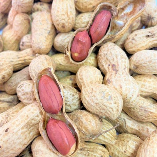 濃厚な味わいと深いコクで日本最高級品種として人気のある落花生です。ギフト プレゼント ご褒美 贈り物 贈答品 送料無料 ご自宅用 中元 歳暮 御祝 お祝いお正月、バレンタインデー、ホワイトデー、母の日、父の日、敬老の日、クリスマス、お誕生日...