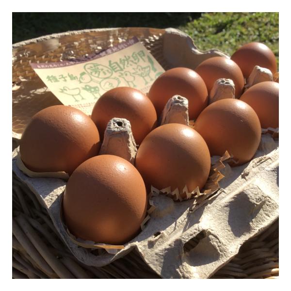 平飼い・安納芋を加えた自家配合発酵飼料と緑餌で育てられた鶏の卵の色は綺麗なレモン色。着色料が含んだ飼料を与えていないので昔ながらの自然色です。黄身は、ほのかな甘みと濃厚なコクがあり、プリップリな白身は臭みが感じられないのが特徴です。＜おすす...