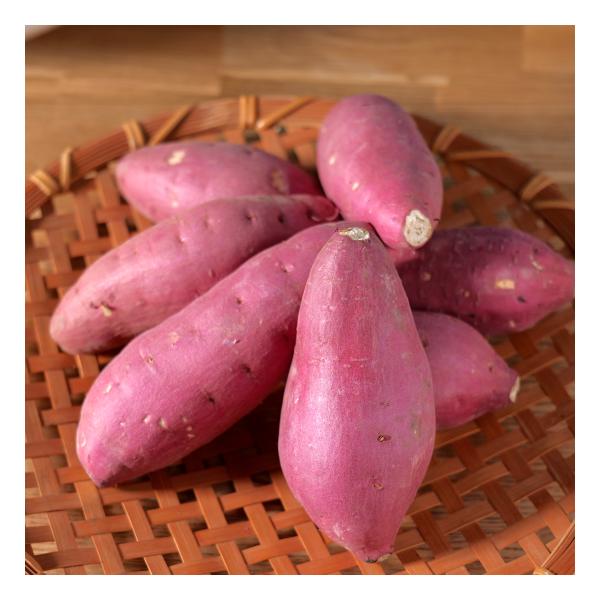 鹿児島県 頴娃町産のさつまいも「紅はるか」。南九州ベジタベースの「紅はるか」は、40日以上貯蔵して甘みを増やした熟成サツマイモの状態で発送しています。温度と湿度を管理した部屋で、採れたてのサツマイモを熟成させることで更に糖度が増します。生の...