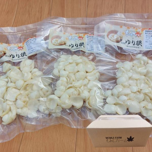 ユリの球根にあたるゆり根。主成分は炭水化物で滋養豊かな食物です。多彩なビタミン・ミネラル類が魅力で、特にカリウムは野菜の中でトップクラスの含有量を誇ります。整腸作用のある食物繊維を含み加熱によるビタミンCの損失が少ない点も大きな強みです。昔...