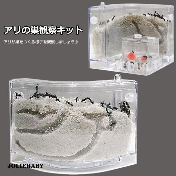 アリの巣　あり観察キット　アリの巣観察キット　アリ　巣　観察　飼育ケース　砂　自由研究 小学生 キット あり 蟻 飼育セット 実験セット 観察 工作 男の子　女の子　夏休み　学習用　おもしろ実験　