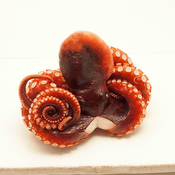 【内容(量)】ボイルマダコ 1杯(1-1.5kg前後)【原材料(産地)】マダコ（国産）【賞味期限】冷蔵保存で3-4日