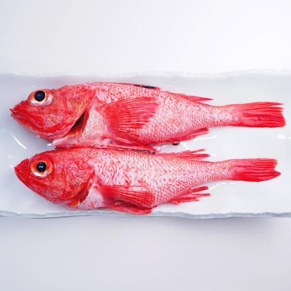 【内容(量)】キンキ2尾（2尾/350g前後）【原材料(産地)】キンキ（北海道、三陸他）【賞味期限】冷凍保存で2ヶ月【注意点】加熱してお召し上がりください