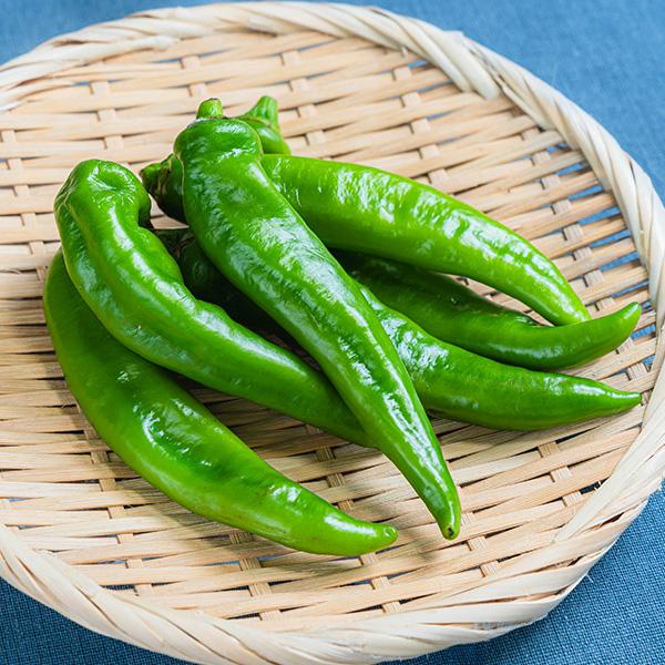 【内容(量)】万願寺とうがらし500g【原材料(産地)】京都他【賞味期限】冷蔵保存で3日