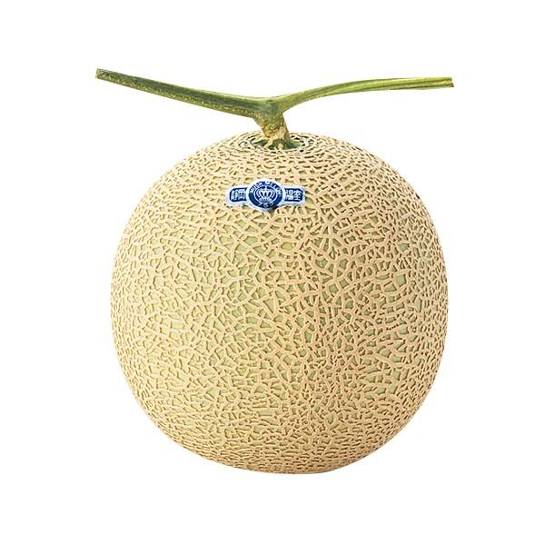 【内容(量)】マスクメロン　約1.3kg 1玉【原材料(産地)】マスクメロン（静岡県）【賞味期限】冷蔵、配達日より3-7日間