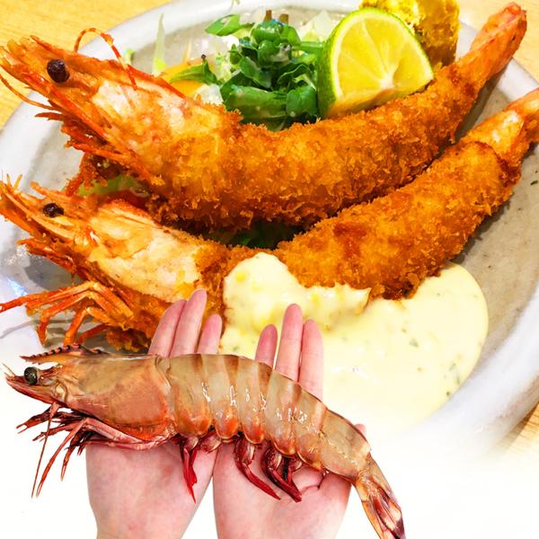 スーパーではお目にかかれない、超超特大サイズの天然シータイガー海老！！1尾が約216gもある超特大サイズの大型海老になります。急速に冷凍されているので鮮度も抜群です。1枚の板の中に6尾の海老が固まって入っていますので、必要な分だけ解凍するか...