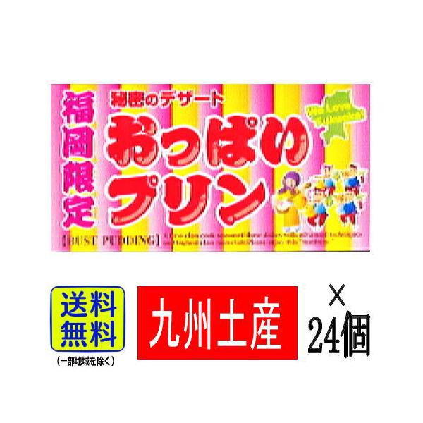 ■内容量：2カップ入り×24個■原材料名鶏卵、砂糖、乳製品、植物油脂、 グリシン、ゲル化剤、香料、乳化剤、 メタリン酸Na、カロチン色素【カラメルソース】砂糖■保存方法<br>直射日光・高温多湿を避け保存して下さい。●通販と店舗...