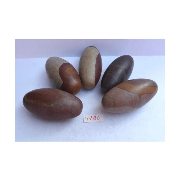 シヴァ・リンガム 神聖なシヴァ神とユニークなクリスタルヒーリング ナルマダ川 インド ~4280 SHIVA LINGAM Sacred Lord Shiva &amp; Unique Crystal Healing Narmada Riv...