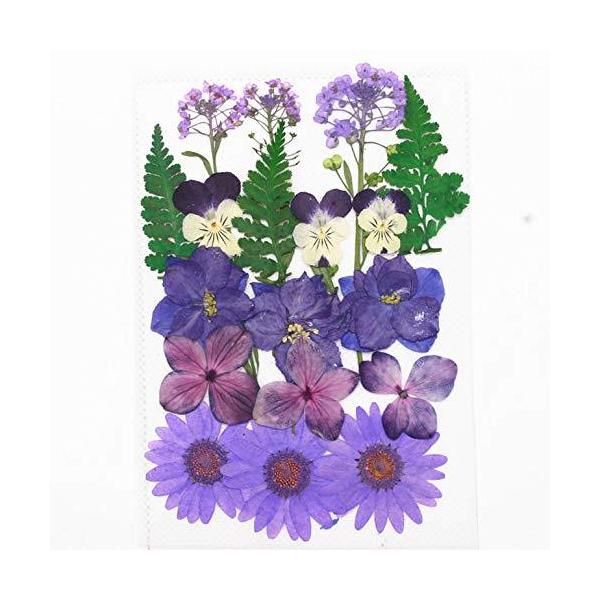 「商品情報」パープル系の５種類のお花を集めたセットです。 型紙、乾燥剤入りなので長期保存に優れています。 １つずつのお花の大きさが直径約2~3cmほどです。 オリジナルのスマホケースや名刺いれの作成。ワックスバー、サシェやアクセサリー作りの...