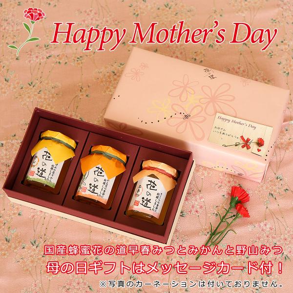 今年採れたての早春みつ（さくら）の新蜜と山川オレンジロードで採蜜されたみかん、いろいろな野山の花から採取した蜂蜜、野山みつのセットです。母の日ギフトはメッセージカード付き！※誠に申し訳ありませんが蜂蜜の種類は変更できません。商品名：新蜜早春...