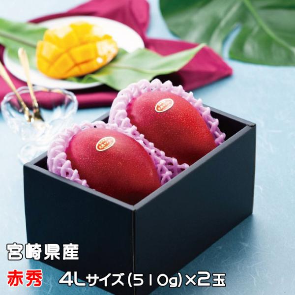 宮崎県産の完熟マンゴーは、アーウィン種で通称アップルマンゴーとも呼ばれ、日本での栽培の96%を占めるマンゴーの中でも一番人気のある種類です。「完熟」の名にふさわしく、木になっているマンゴーの下に袋状のネットをかけ、マンゴーが完全に熟して自然...