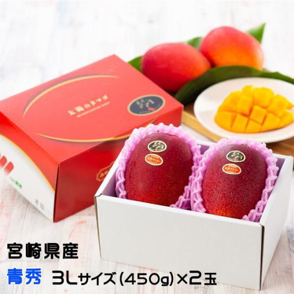 宮崎県産の完熟マンゴーは、アーウィン種で通称アップルマンゴーとも呼ばれ、日本での栽培の96%を占めるマンゴーの中でも一番人気のある種類です。「完熟」の名にふさわしく、木になっているマンゴーの下に袋状のネットをかけ、マンゴーが完全に熟して自然...