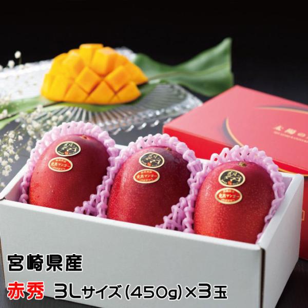 宮崎県産の完熟マンゴーは、アーウィン種で通称アップルマンゴーとも呼ばれ、日本での栽培の96%を占めるマンゴーの中でも一番人気のある種類です。「完熟」の名にふさわしく、木になっているマンゴーの下に袋状のネットをかけ、マンゴーが完全に熟して自然...