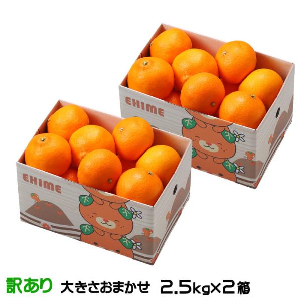 「あいか」は残念ながらその審査にあと少し届かなかった果実ではありますが、 品種としては「紅まどんな」とまったくの同品種、 「紅まどんな」の特徴であるみずみずしいゼリーのような果肉や香りは もちろん「あいか」でも十分お楽しみ頂くことができます...