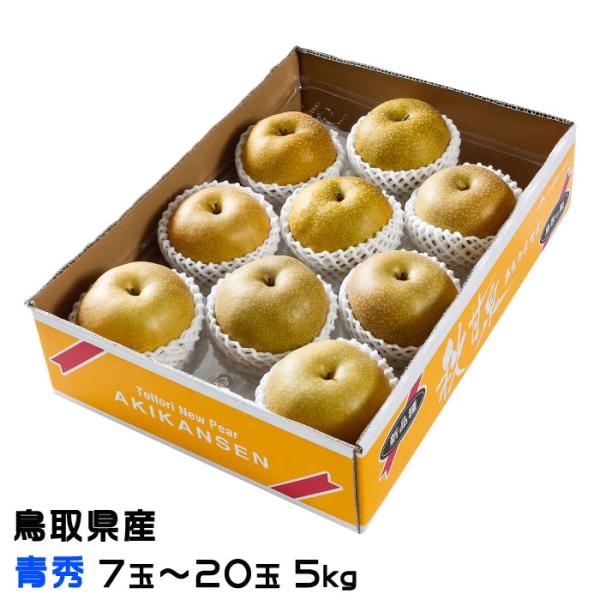 新甘泉　姉妹品種