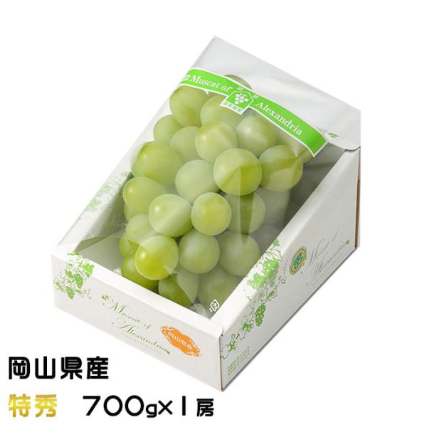 マスカットオブアレキサンドリアは岡山を代表する葡萄の品種です。粒がエメラルドグリーンに琥珀色がかったような黄緑色になった頃が食べ頃。食べる前に30分程冷やして食べるとおいしく食べられます。　皮を剥かずにそのままお召し上がりになられますと、パ...