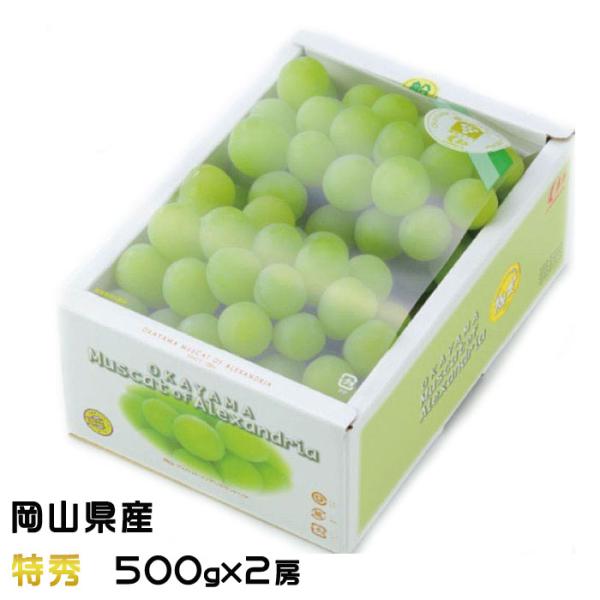マスカットオブアレキサンドリアは岡山を代表する葡萄の品種です。粒がエメラルドグリーンに琥珀色がかったような黄緑色になった頃が食べ頃。食べる前に30分程冷やして食べるとおいしく食べられます。　皮を剥かずにそのままお召し上がりになられますと、パ...