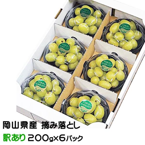 マスカットオブアレキサンドリアは岡山を代表する葡萄の品種です。粒がエメラルドグリーンに琥珀色がかったような黄緑色になった頃が食べ頃。食べる前に30分程冷やして食べるとおいしく食べられます。パリッとした食感をお楽しみください。少しだけ表皮に擦...