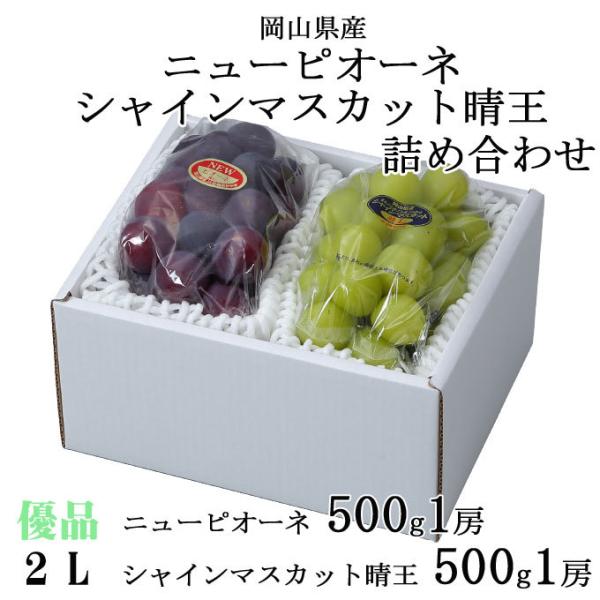 岡山を代表する果物、シャインマスカット晴王とニューピオーネの詰め合わせです。贈り物にされたらきっと大喜びしていただけるでしょう。※画像はイメージです。※天候等により出荷時期が前後する場合がございます。果物 フルーツ 旬 ギフト 贈り物 お礼...