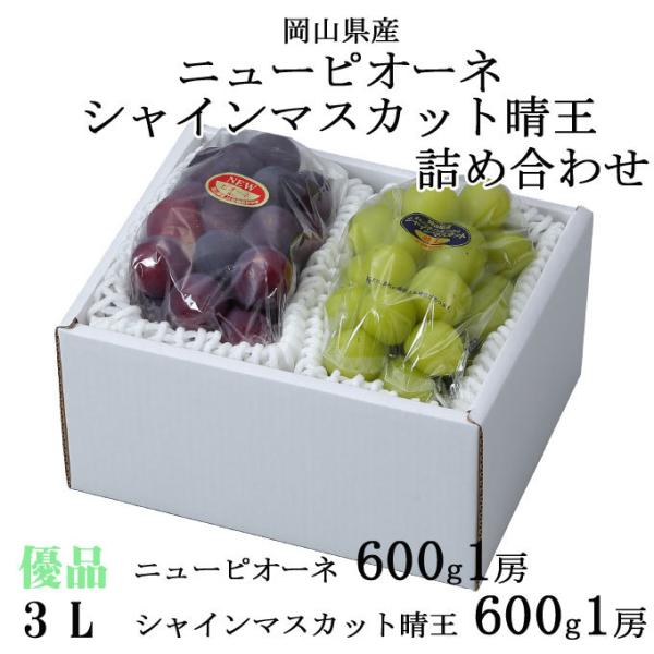岡山を代表する果物、シャインマスカット晴王とニューピオーネの詰め合わせです。贈り物にされたらきっと大喜びしていただけるでしょう。※画像はイメージです。※天候等により出荷時期が前後する場合がございます。果物 フルーツ 旬 ギフト 贈り物 お礼...