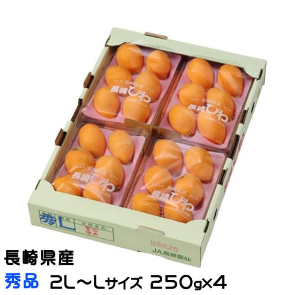 初夏を告げる、甘く爽やかな味わい。※画像はイメージです。※天候等により出荷時期が前後する場合がございます。果物 フルーツ 旬 ギフト 贈り物 お礼 内祝 御供 ギフト プチギフト 特産品 お取り寄せ 人気 セット 売れ筋 名物商品 家庭用 ...