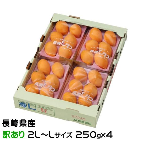初夏を告げる、甘く爽やかな味わい。※画像はイメージです。※天候等により出荷時期が前後する場合がございます。果物 フルーツ 旬 ギフト 贈り物 お礼 内祝 御供 ギフト プチギフト 特産品 お取り寄せ 人気 セット 売れ筋 名物商品 家庭用 ...