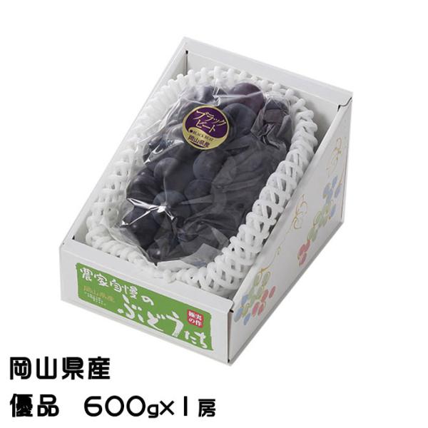 「ブラックビート」とは、黒ぶどうを代表する2つの品種である「藤稔」と「ピオーネ」を交配して生まれた新しい品種で、双方のいいどこ取りをした「黒ぶどうのサラブレッド」。※画像はイメージです。※天候等により出荷時期が前後する場合がございます。果物...