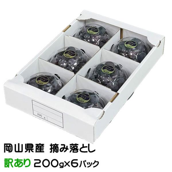 「ブラックビート」とは、黒ぶどうを代表する2つの品種である「藤稔」と「ピオーネ」を交配して生まれた新しい品種で、双方のいいどこ取りをした「黒ぶどうのサラブレッド」。※画像はイメージです。※天候等により出荷時期が前後する場合がございます。※ご...