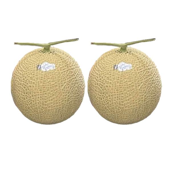 アールスフェボリット種の仲間であるアールスメロンです。T字型のつると美しい網目、果汁が多く、口いっぱいに広がる上品な甘さは、 まさにメロン界の王様です。※画像はイメージです。※天候等により出荷時期が前後する場合がございます。果物 フルーツ ...