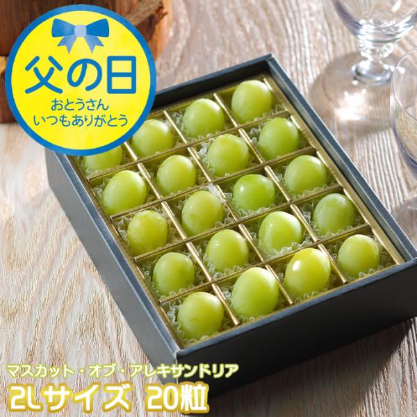 マスカットオブアレキサンドリアは岡山を代表する葡萄の品種です。上品な香りと甘さの中に優しい酸味があるのが特徴で、そのおいしさと佇まいからぶどうの女王と呼ばれています。大粒で色艶もよく、大切な方への贈り物としてぜひおすすめします。※画像はイメ...