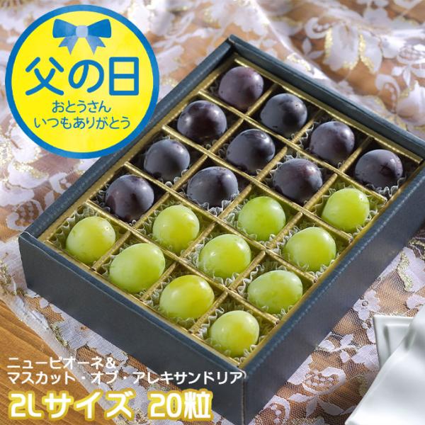 マスカットオブアレキサンドリアは上品な香りと甘さの中に優しい酸味がありそのおいしさと佇まいからぶどうの女王と呼ばれています。ニューピオーネは大粒でジューシーな黒ぶどう。2色のぶどうを食べ比べられるジュエルセレクション。大切な方への贈り物とし...