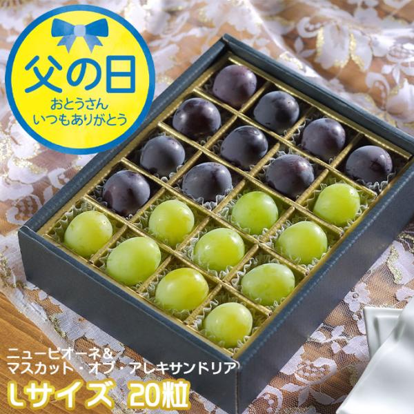 マスカットオブアレキサンドリアは上品な香りと甘さの中に優しい酸味がありそのおいしさと佇まいからぶどうの女王と呼ばれています。ニューピオーネは大粒でジューシーな黒ぶどう。2色のぶどうを食べ比べられるジュエルセレクション。大切な方への贈り物とし...