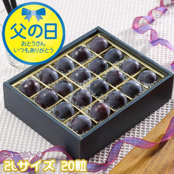 ニューピオーネは岡山生まれの種なし葡萄です。食べ応え抜群の大粒、芳醇で溢れるほどの甘い果汁と16度を超える高い糖度、それを引き立てるわずかな酸味との絶妙なバランス。しかも種無しで皮離れが良いので食べやすい大人気の品種です。※画像はイメージで...